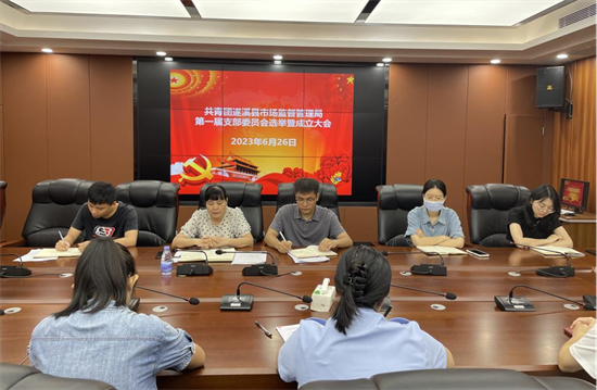 共青团遂溪县市场监督管理局第一届支部委员会选举暨成立大会顺利… 遂溪县人民政府公众网站